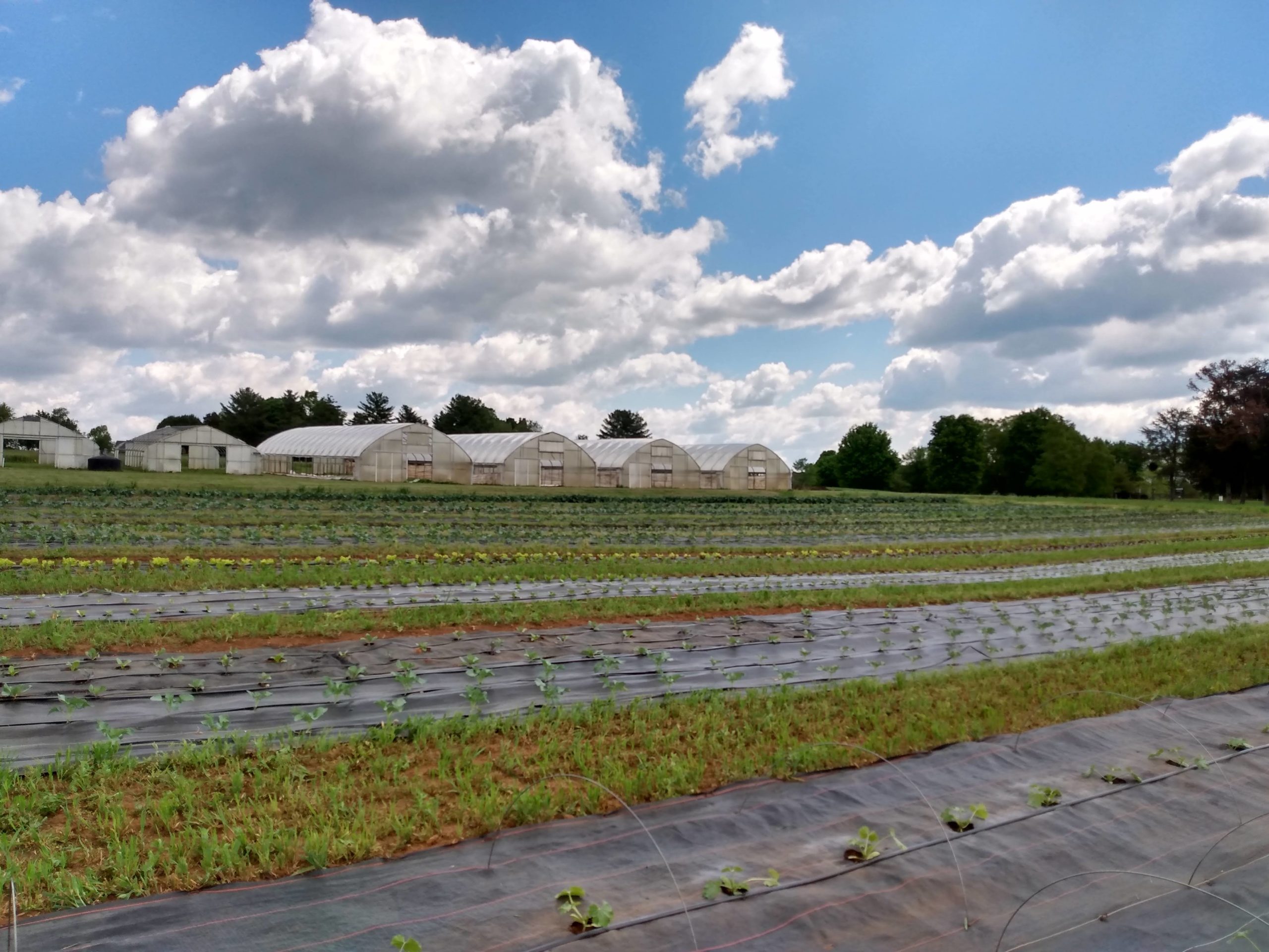 Support the UT Organic Farm Internship and VSA Program | VOLunteer ...